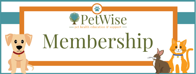 Petwise Animal Clinic - klinikhaiwancare.my
