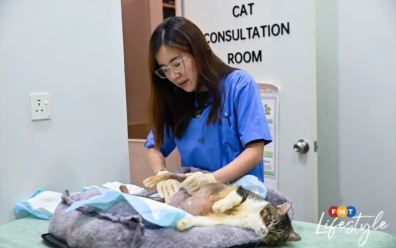 Yeoh Veterinary Clinic & Surgery Sdn Bhd - klinikhaiwancare.my